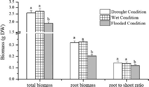 Biomass Allocation Of A Retroflexus Along Water Level Gradient Values Download Scientific
