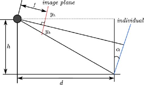 Figure 3 From Social Distance Measuring Based On Monocular Vision Semantic Scholar
