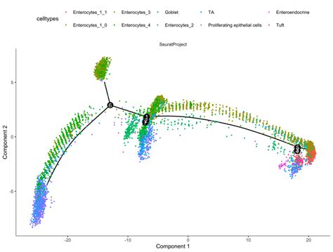 Pseudotime Analysis R Bioinformatics