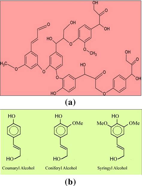 A Chemical Structure Of Lignin Retrieved From Mahmood Et Al 2018 B