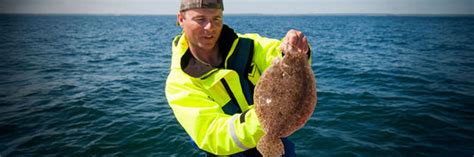 Shop By Species Blackfin Rods