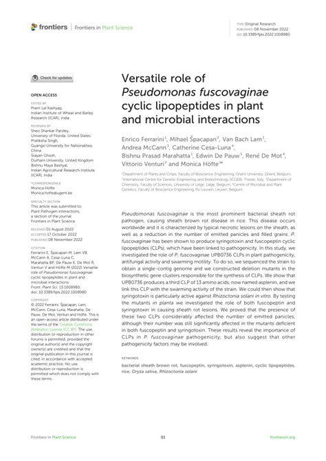 Pdf Versatile Role Of Pseudomonas Fuscovaginae Cyclic Lipopeptides In