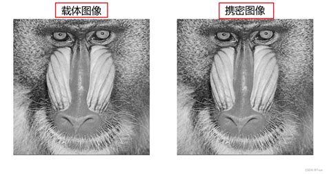 信息隐藏与数字水印实验1——《信号处理基础》 Csdn博客