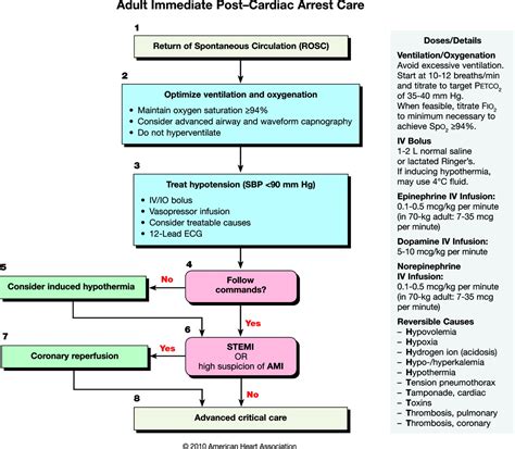 Circulation Of Cerebrospinal Fluid Flow Chart