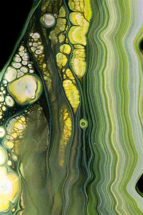 Your Longevity Guide To Hdl Cholesterol Comprehensive Health Insights