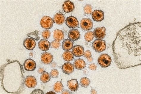 What You Need To Know About Mrna Vaccines In Light Of Rfks Claims New Scientist