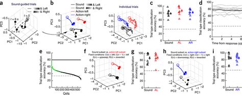 Multiple Strategies Are Associated With Distinct Population Activity Download Scientific