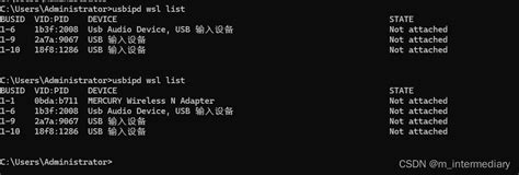 【windows10 11】上【wsl】安装并连接【usb】的过程和问题整理 Wsl Usb Csdn博客
