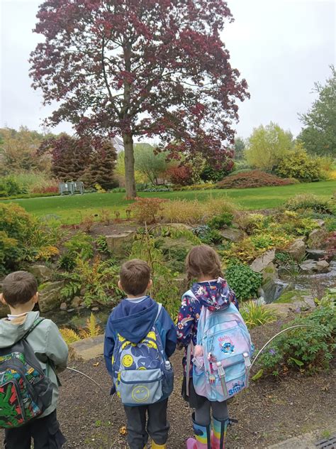 Willow Class Welcomes Autumn At Harlow Carr Sharow Ce Primary And
