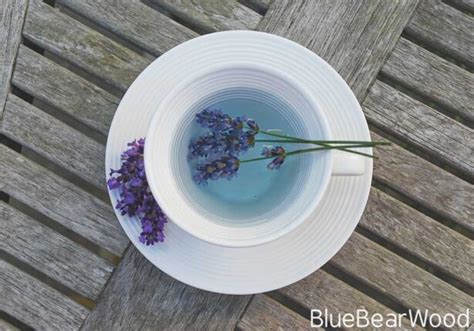 How To Make Fresh Lavender Tea