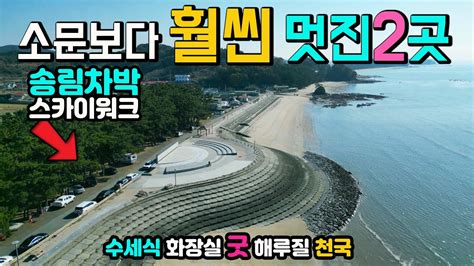 비인해변 장항 스카이워크 세계 유네스코 해변 송림 차박 캠핑 현지를 잘 아는 캠퍼들만 간다는 명소 수돗가 수세식화장실 즐비한 맛집 캠핑카 차박노지 탐방 Youtube