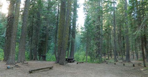 Grizzly Campground In Plumas National Forest California Reviews And