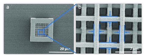 Sem Micrographs Of Printed Periodic Lattice Download Scientific Diagram