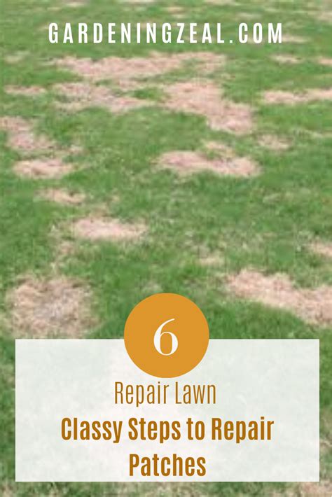 How To Fix Patches On Lawn At Brent Vangundy Blog