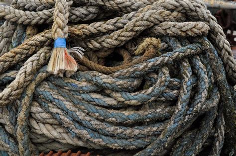 culturally agile defining the essence of agile culture by ryan