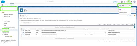 get list of salesforce users in your org