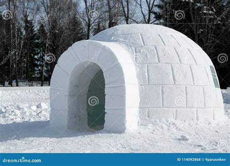 Igloo Homes