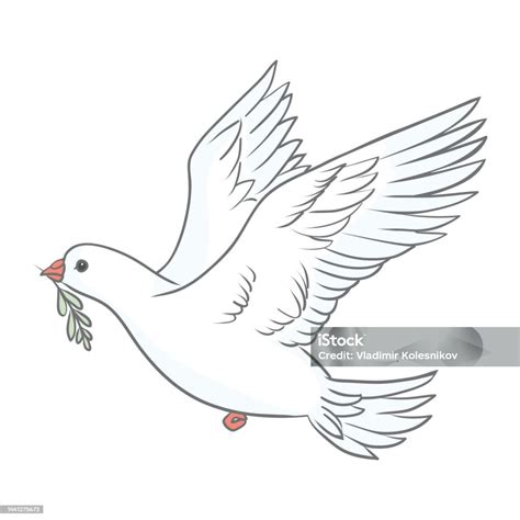 평화 순결 디자인의 비둘기 흰색 바탕에 녹색 올리브 가지가 있는 비둘기 로고 사랑과 메신저의 상징 플랫 벡터 아름 다운 그래픽 고립 된 요소입니다 비행 만화 새 그림입니다