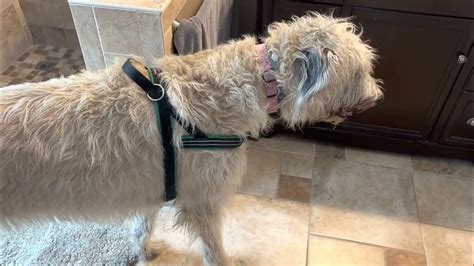 Bathroom Fail Youtube