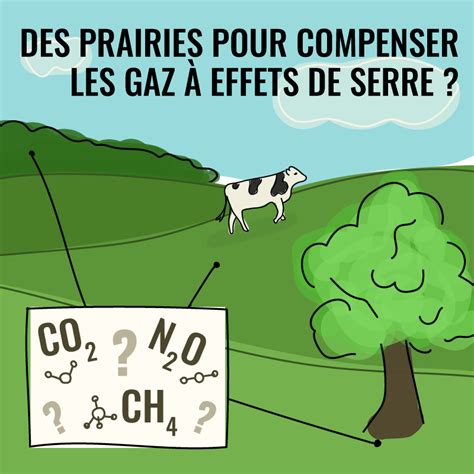Les Prairies Permettent De Compenser Une Partie Des émissions De Gaz à