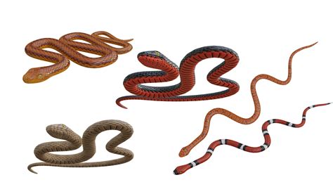 Snake Procedural 3d Model By Ludmi