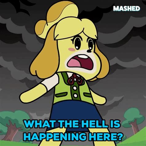 Isabelle Gifs Get The Best Gif On Giphy