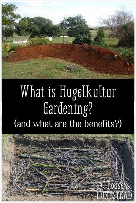 What Is Hugelkultur Gardening And What Are The Benefits