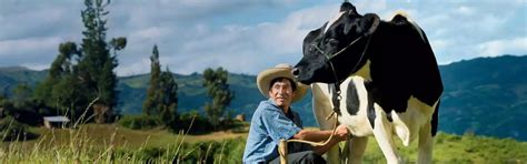 Nestlé Purpose And Values Nestlé Global