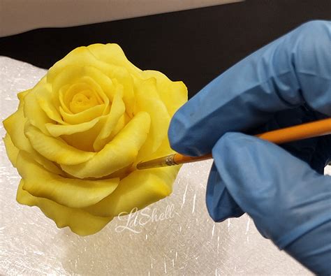 Lashell Howard Lashell Howard Added A New Photo