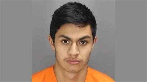 18 Year Old Illinois Man Who Allegedly Stabbed 14 Year Old For Refusing
