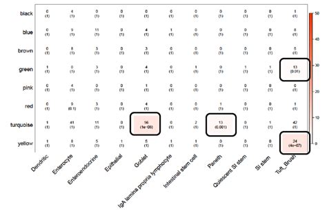Overlap Between Module Genes And SI Cell Markers Notes Upper Numbers Download Scientific