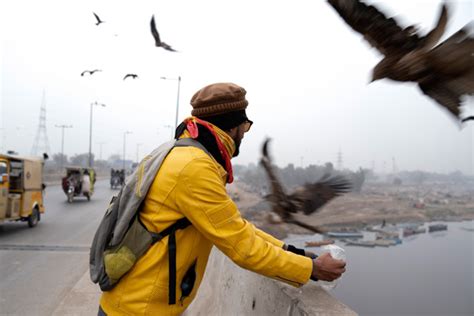 Nida Mehboob Assignments And Commissions