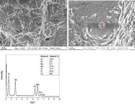 Sem Micrographs With Edx Analysis Of The Fracture Surface Of The Sample Download Scientific