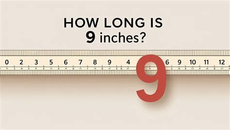How Big Is 40 Centimeters Everyday Comparisons To Visualize The Length