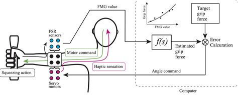 A Wearable System Integrating Force Myography And Skin Stretch Feedback Toward Force Skill