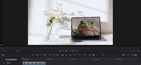 How To Mask In DaVinci Resolve Void Graphics
