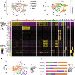 Single Cell RNA Seq Data Analysis And Cell Annotation A T SNE Plot Of Download Scientific