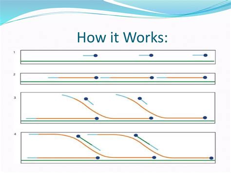 Multiple Displacement Amplification Pptx