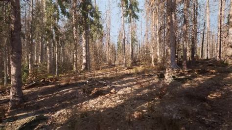 80 Level On Linkedin Unreal Unrealengine Unrealengine5 Ue5 Procedural Proceduralart