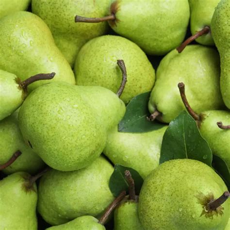 Frutas