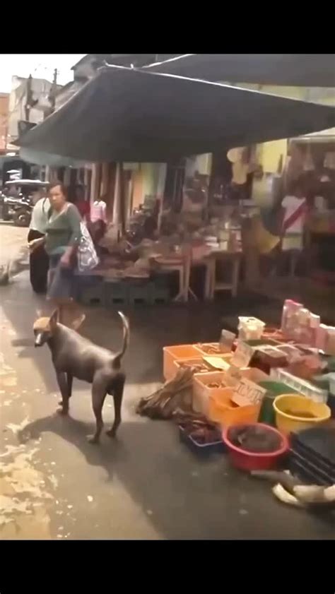 Santhosh Raja Binary Search To Find Red Dress Akka💃 Part 1 Java Leetcode Coding Tamil