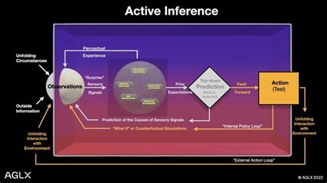 Ooda Polarisation And Free Energy Systems Thinking