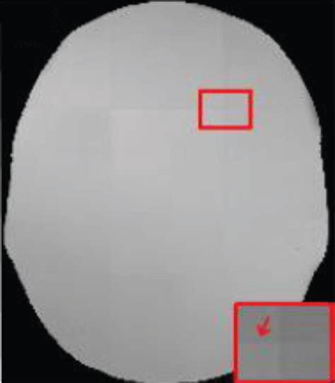 contaminated image real image and bias field images obtained by