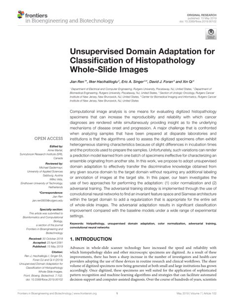 pdf unsupervised domain adaptation for classification of