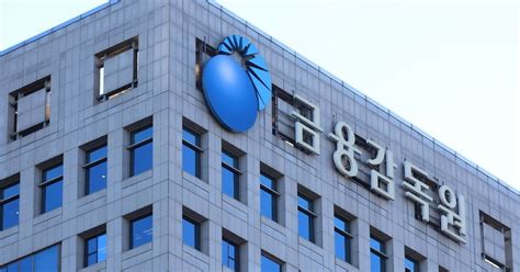 비상계엄 후 날뛰는 정치 테마주금감원 집중 감시한다