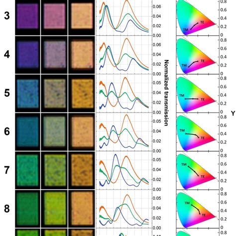 A Design Of Cross Shaped Aperture Arrays Linearly Polarized Light Is Download Scientific