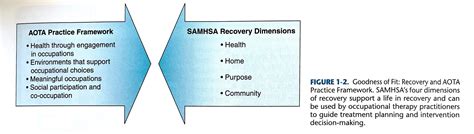Recovery Models And Frameworks — Chronic Resilience