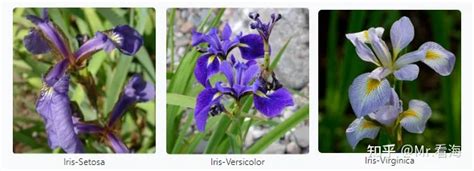 【深度学习 第5篇】使用python快速实现cnn分类（模式识别）任务，含一维、二维、三维数据演示案例（使用pytorch框架）cnn Python Csdn博客