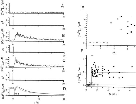 Effect Of Pulse Strength On Transient Ca²cyt Release In A Chara Cell