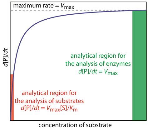 enzyme kinetics regression at frederick saechao blog
